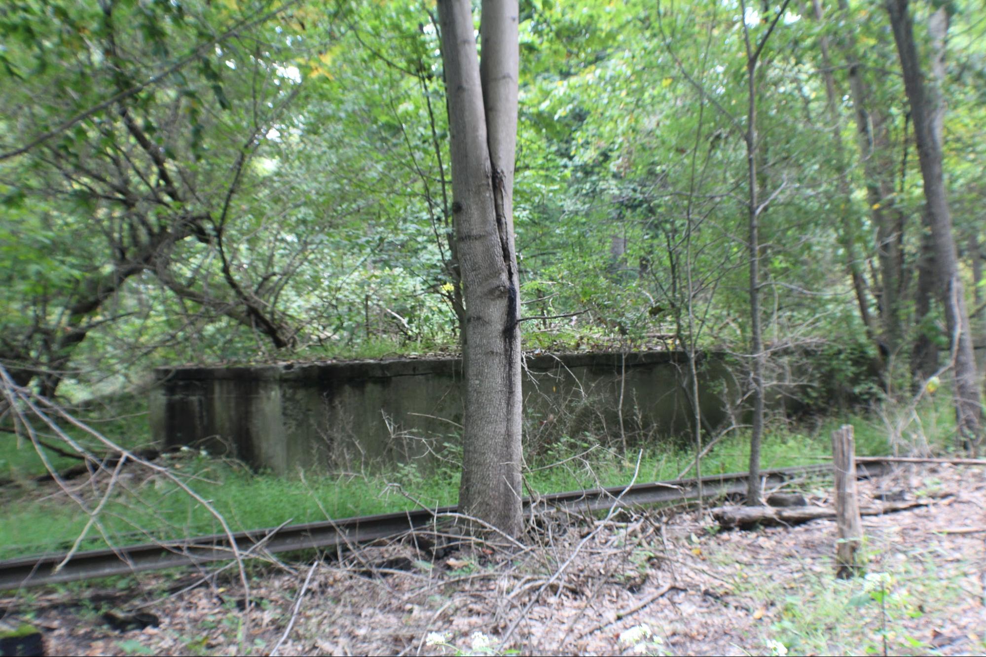 Ludlow Station | Township of Bethlehem