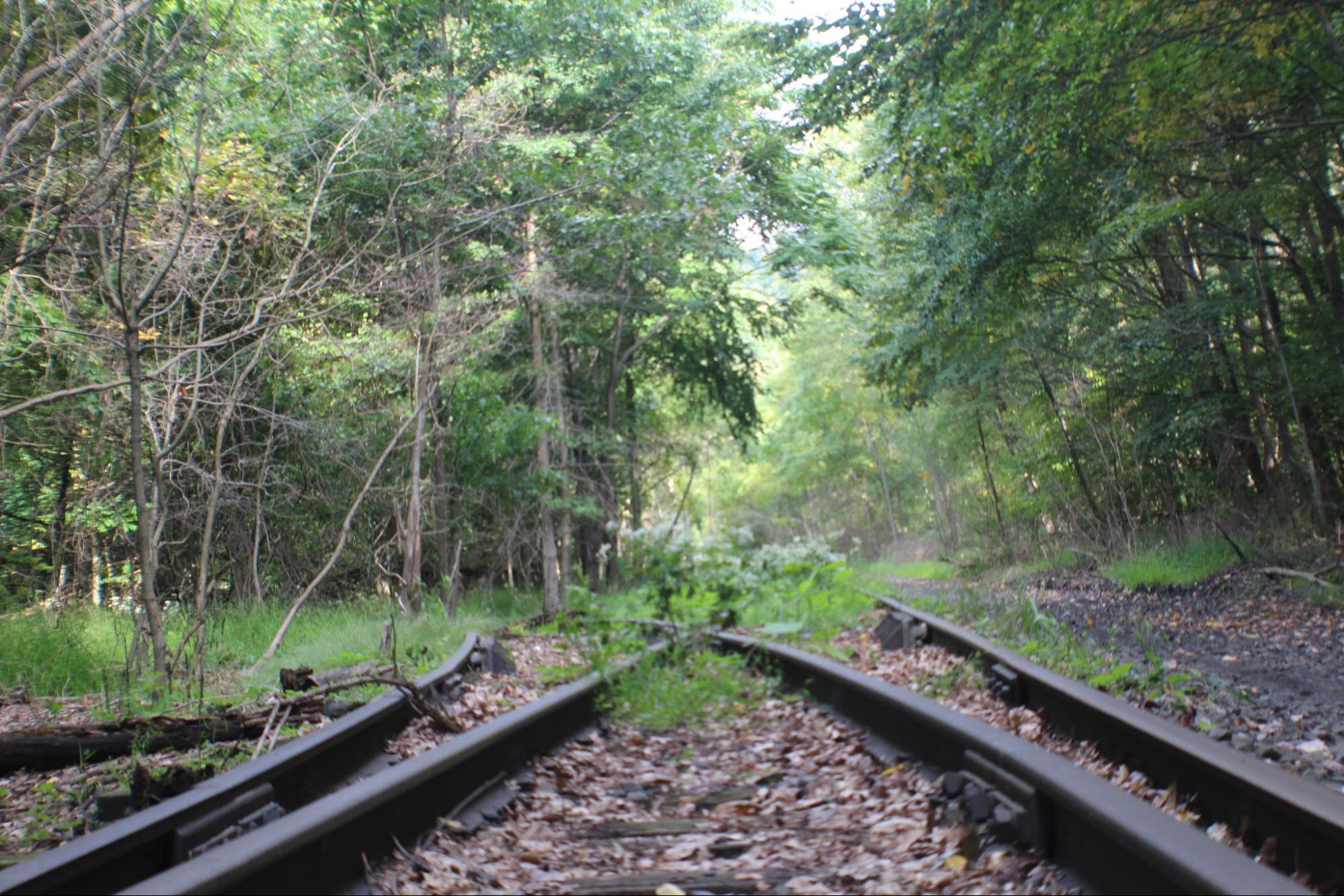 Ludlow Station | Township of Bethlehem