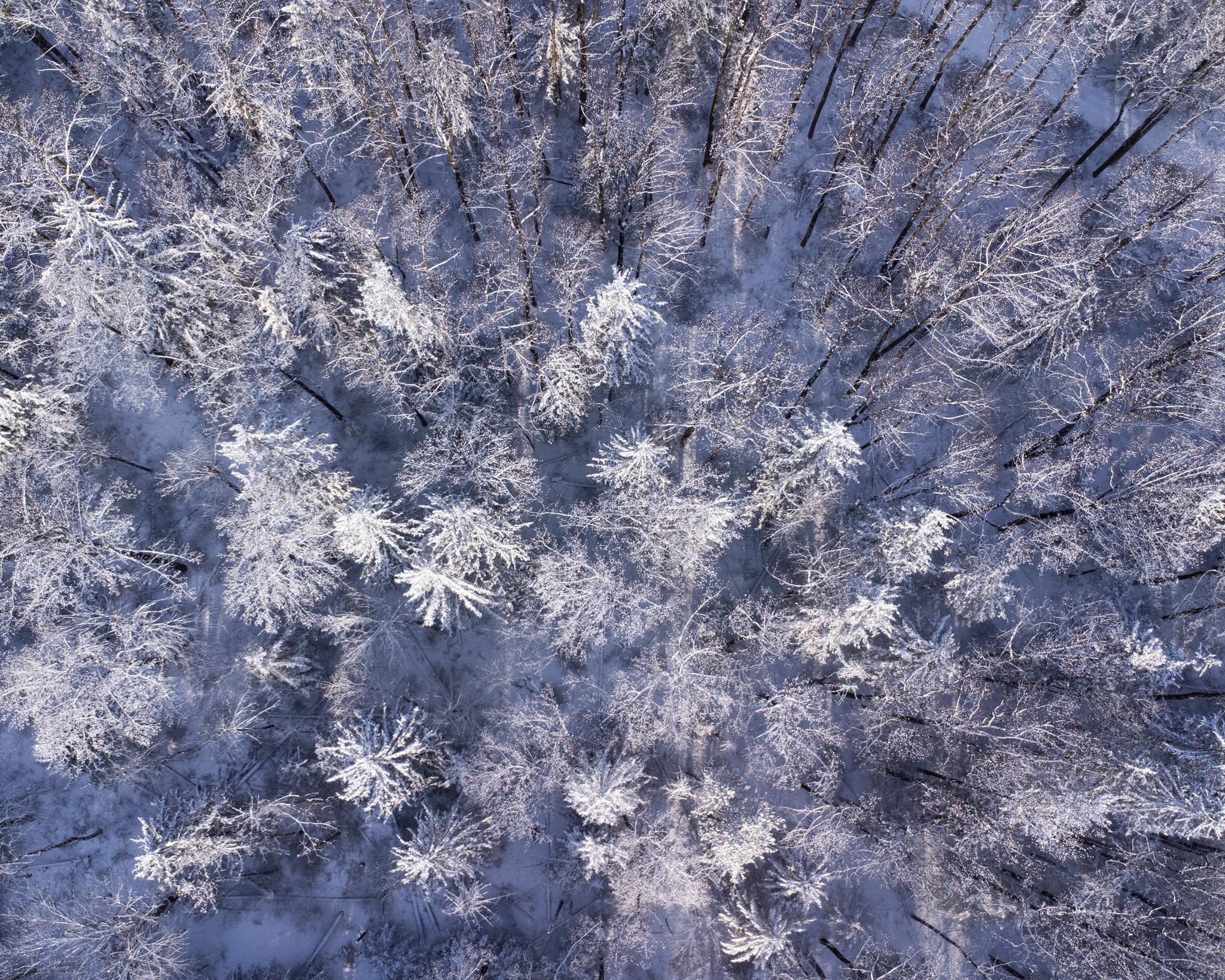 Residents Photogallery | Township of Bethlehem